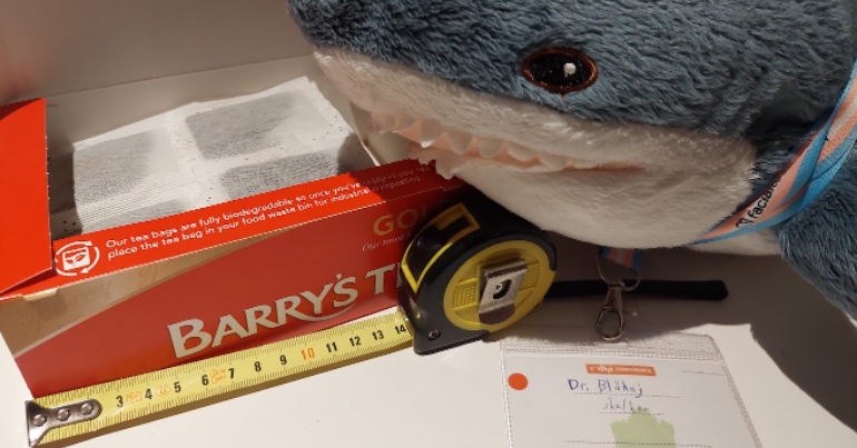 Does the National Gender Service understand its medications? – The Beacon